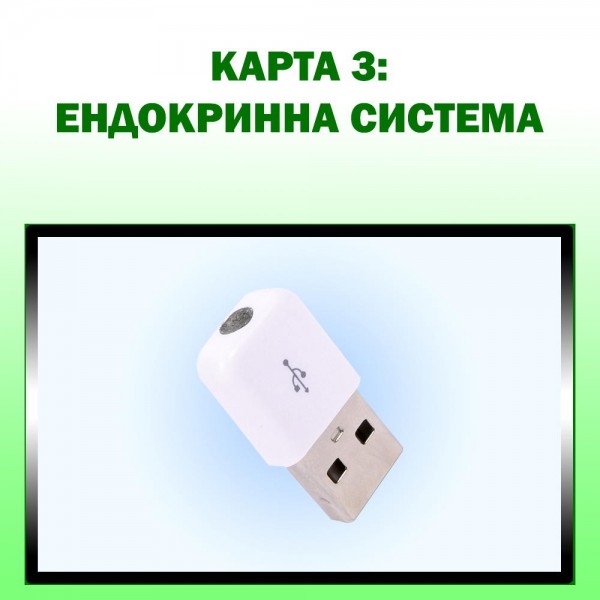 Карта памет за Volcano Zapper V-4 (К3 – Ендокринна система) купи в ...