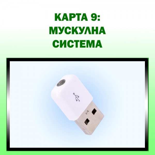 Карта памет за Volcano Zapper V-4 (К9 – Мускулна система) купи в ...